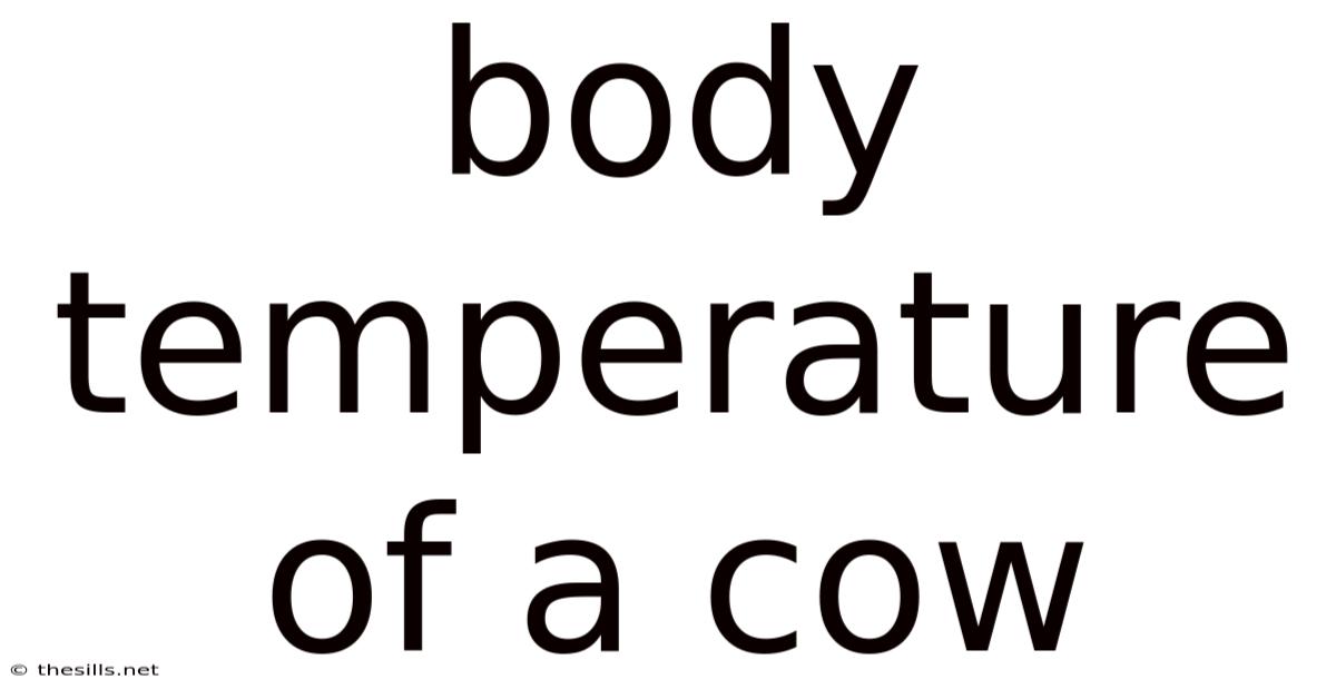 Body Temperature Of A Cow