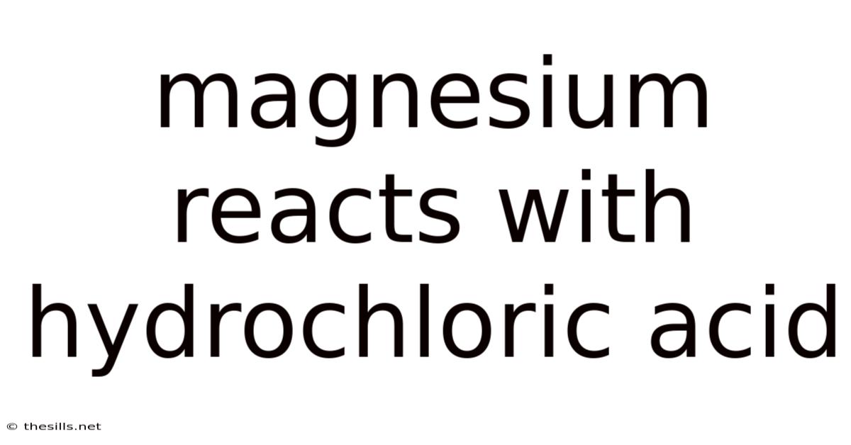 Magnesium Reacts With Hydrochloric Acid